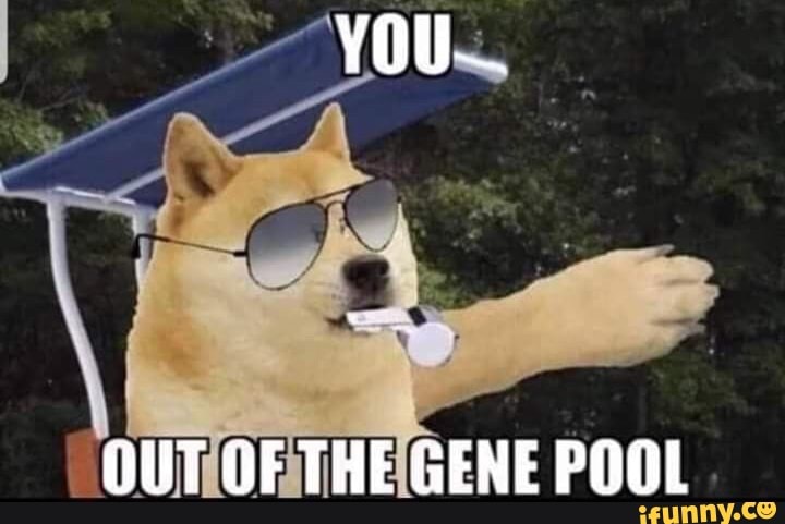 Yououtofthegenepool memes. Best Collection of funny Yououtofthegenepool ...
