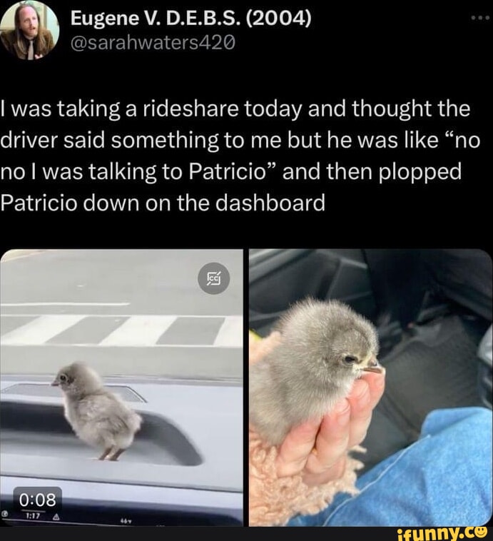 Dashboard memes. Best Collection of funny Dashboard pictures on iFunny