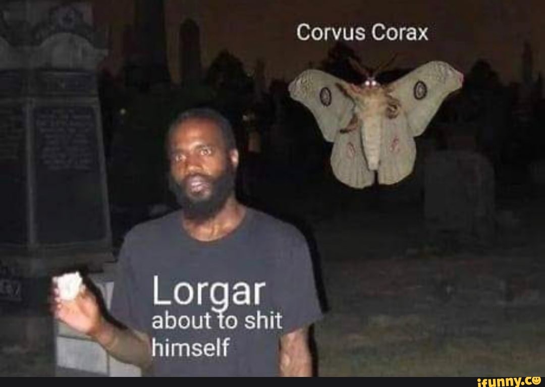 Corvus Corax Lorgar shit himself - iFunny
