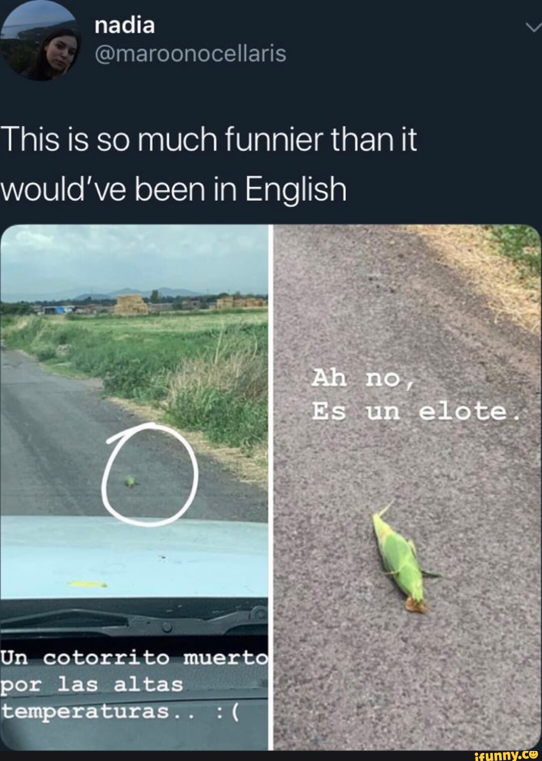 Nadia memes. Best Collection of funny Nadia pictures on iFunny