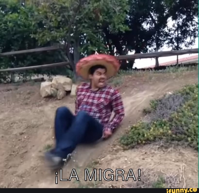 Migra memes. Best Collection of funny Migra pictures on iFunny